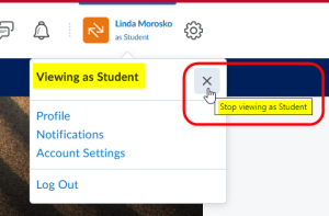 View Course as a Student | eStarkState Teaching and Learning